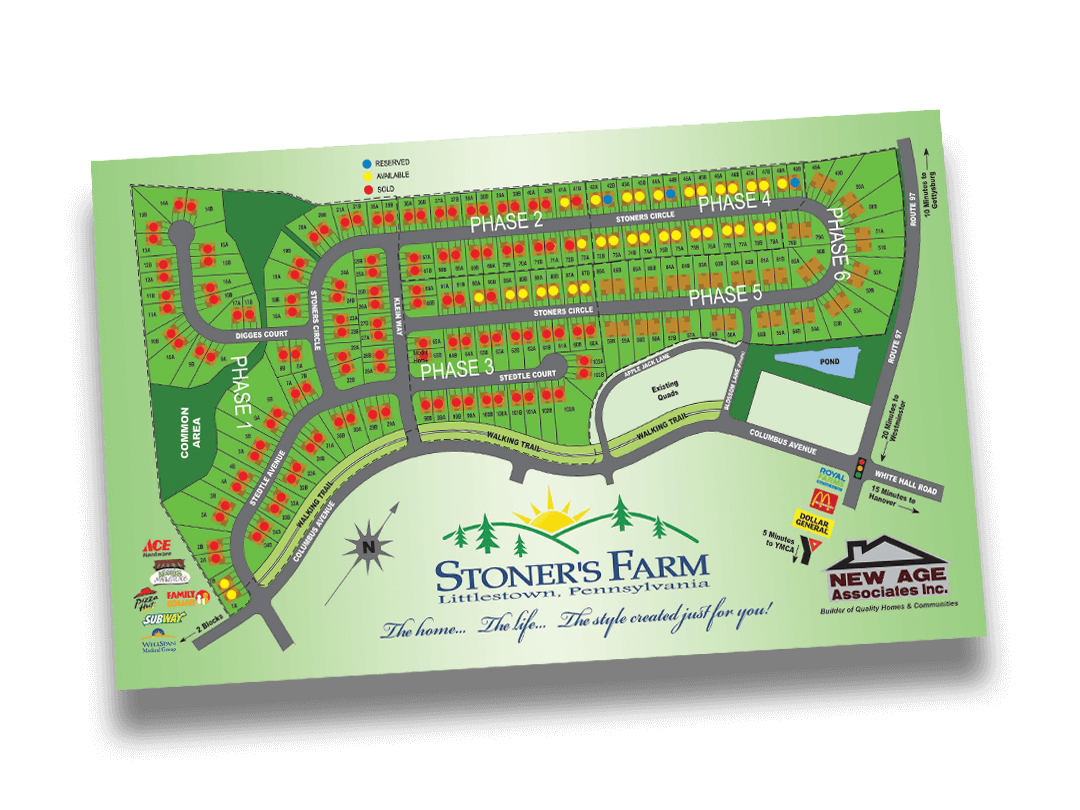 Our Portfolio | We Help Your Company [Standout] From the Crowd!